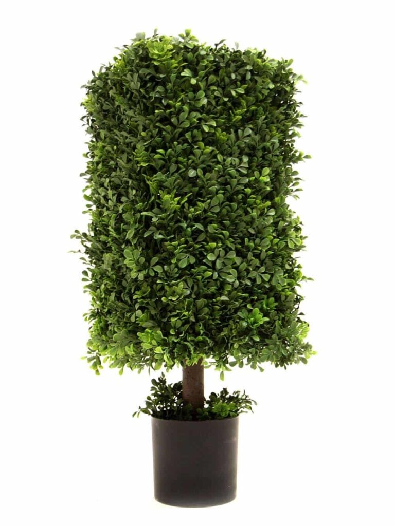 Topiary Boxwood Square | EPH Creative - Event Prop Hire