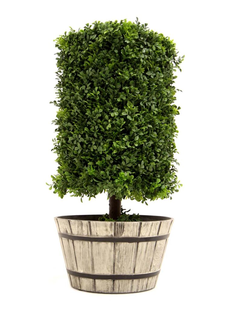 Topiary Boxwood Square | EPH Creative - Event Prop Hire