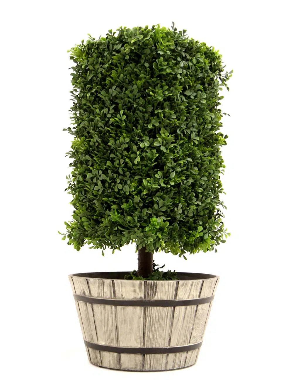 Topiary Boxwood Square | EPH Creative - Event Prop Hire