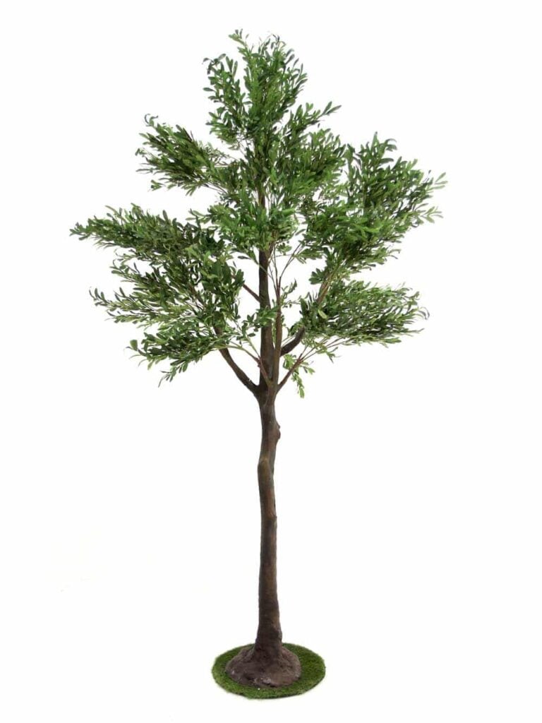 Tall Trunk Tree (3.5m) - Ruscus | EPH Creative - Event Prop Hire