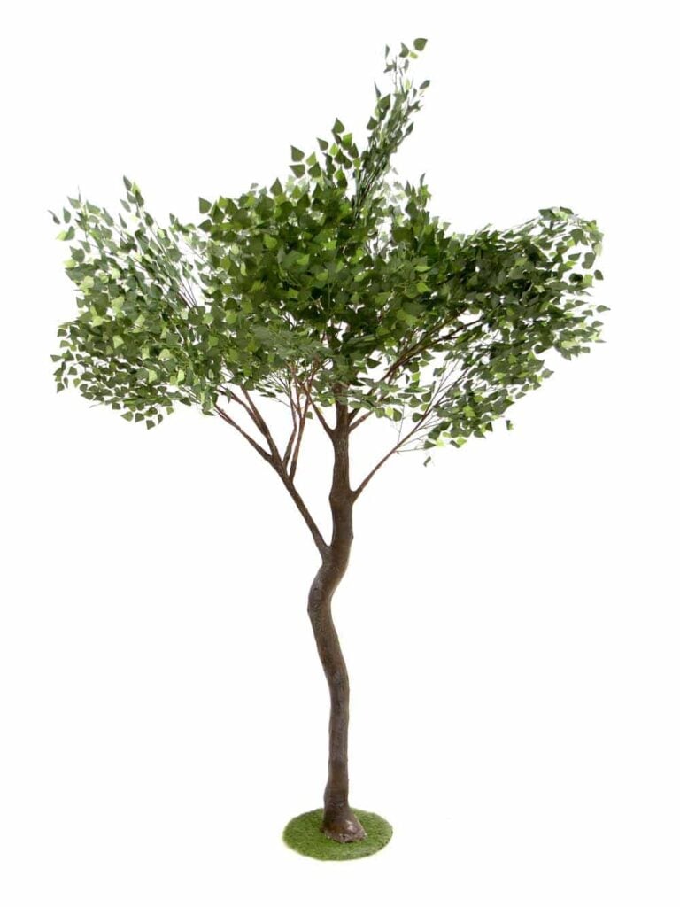 Y-Shaped Tree (2.7m) - Brown Birch | EPH Creative - Event Prop Hire