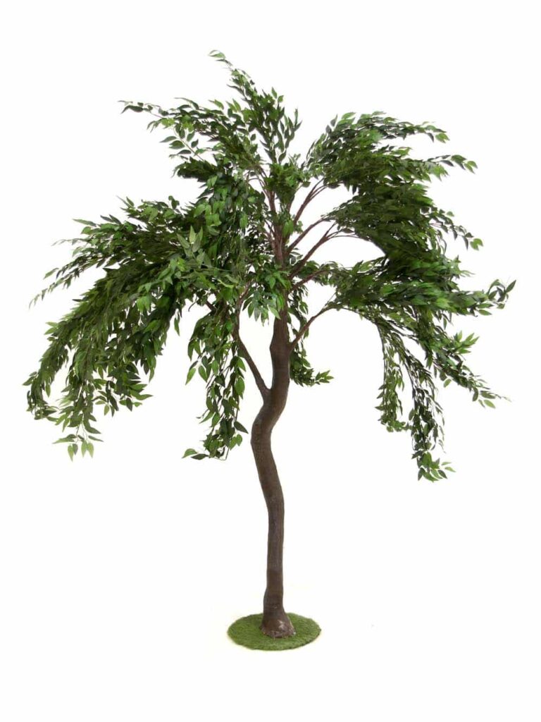 Y-Shaped Tree (2.7m) - Trailing Ruscus | EPH Creative - Event Prop Hire