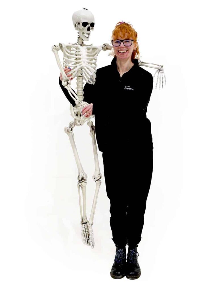 Skeleton Prop - (No Stand) | EPH Creative - Event Prop Hire
