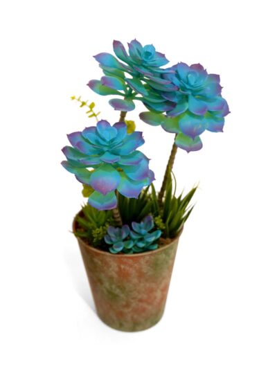 Plants Hire | Event Props | EPH Creative - Event Prop Hire