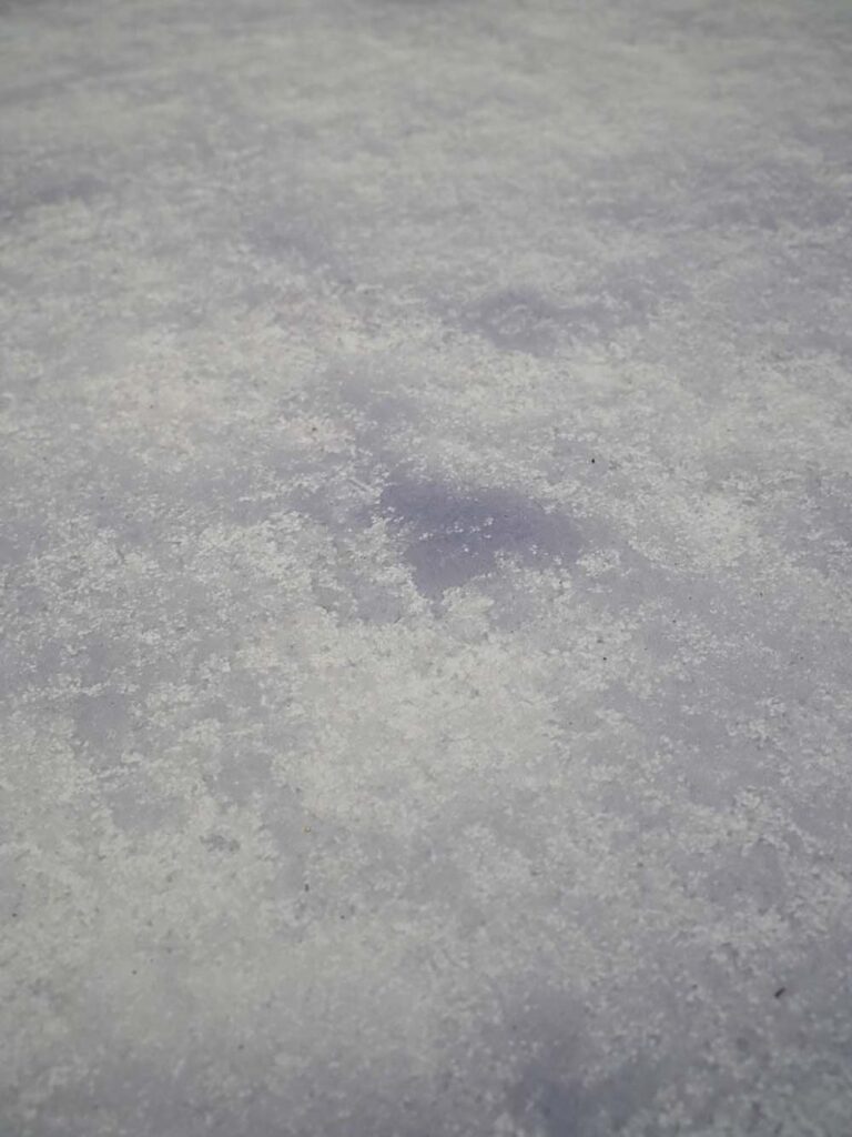 Floor Mat - 1.5m x 3m - Snow | EPH Creative - Event Prop Hire