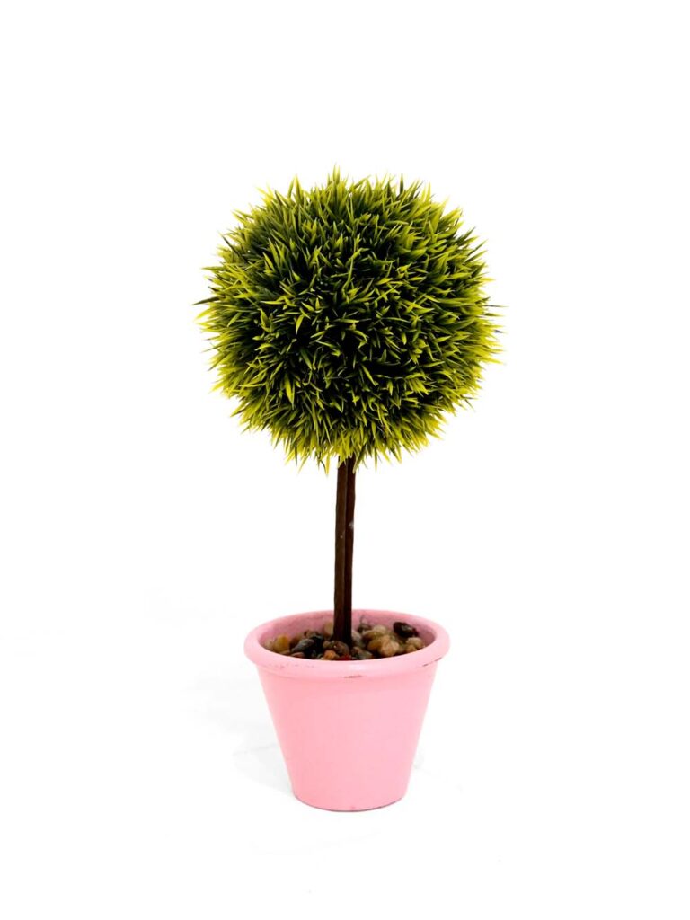 Plants Hire | Event Props | EPH Creative - Event Prop Hire