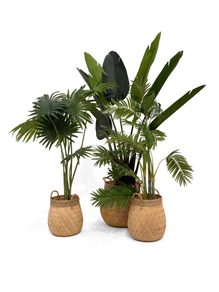 Plants Hire | Event Props | EPH Creative - Event Prop Hire