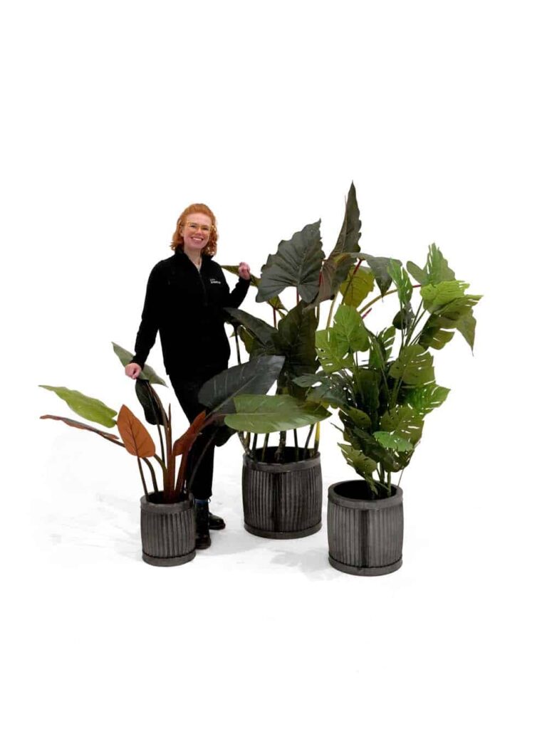 Plants Hire | Event Props | EPH Creative - Event Prop Hire