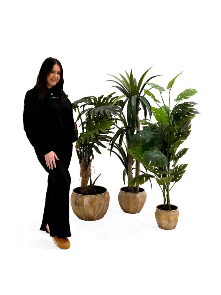 Tropical Beach - Foliage Set | EPH Creative - Event Prop Hire