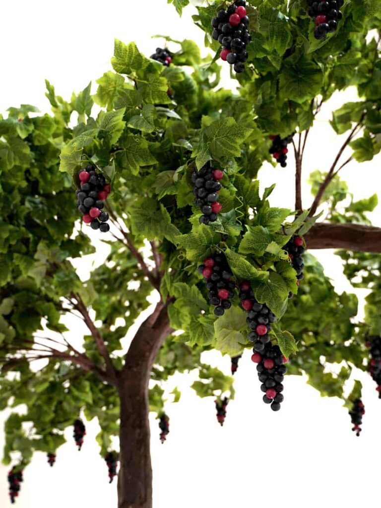 Canopy Tree (3m) - Grape Foliage | EPH Creative - Event Prop Hire
