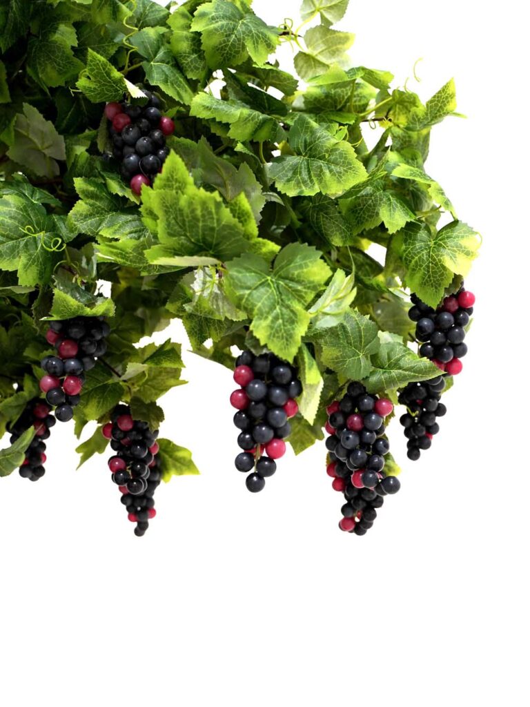 Half Moon Gate - Grape Foliage | EPH Creative - Event Prop Hire