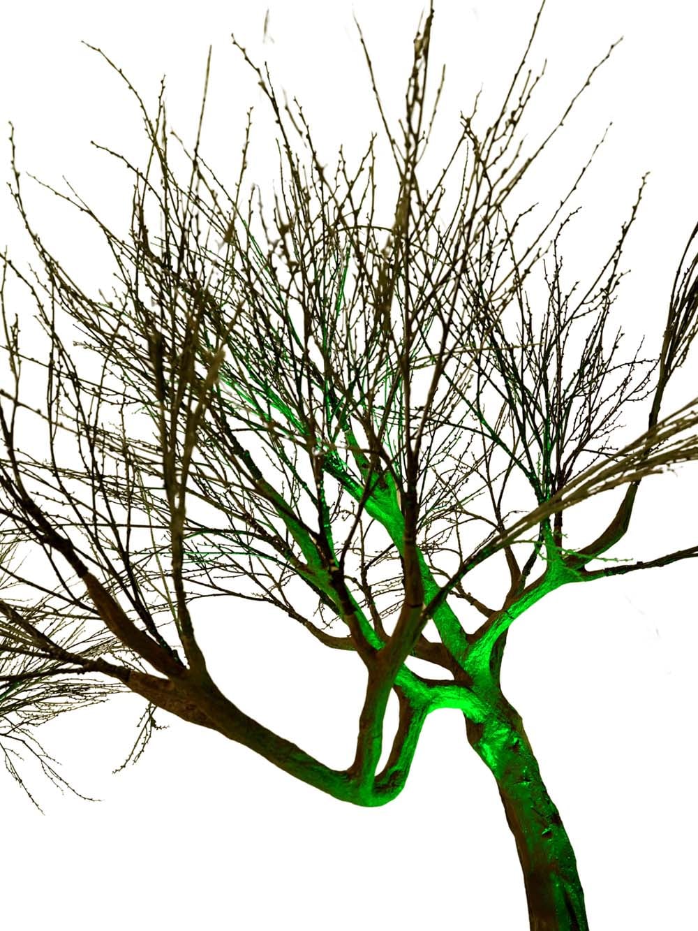 Twisted Trunk Tree (2.9m) - Black Sprig | EPH Creative - Event Prop Hire